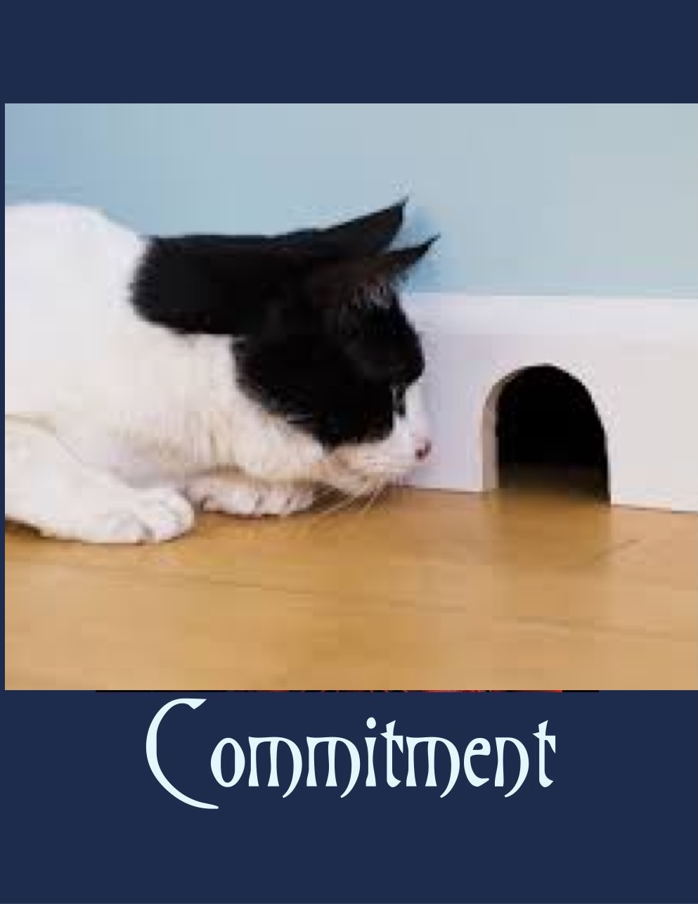 Purrsiflage – Today’s Horoscope for Your Inner Cat with Alysse Aallyn ...